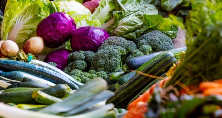 Top Meatless Meals: Enjoy My Favourite Vegetarian Dishes